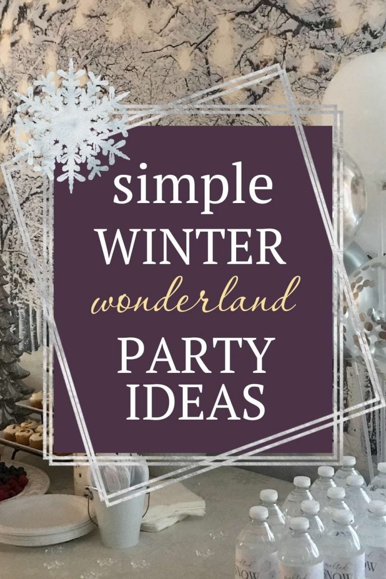 Simple Winter Themed Party Ideas